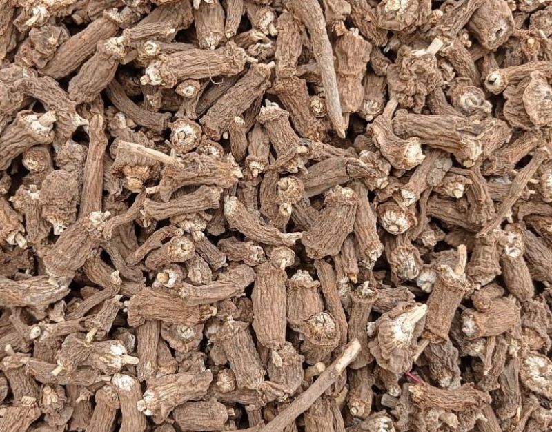 Anantmool Nannari Roots, Packaging Type : Bag at Rs 400 in Chennai - ID ...