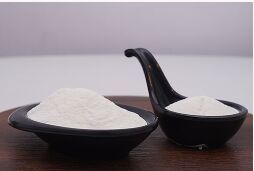 Curd Powder at Best Price in Nashik - ID: 7768752 | Foods And Inns Ltd