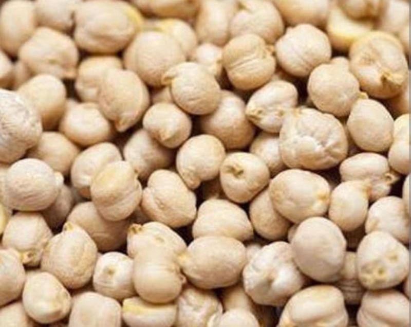 Kaboli Kabuli Chana, Color : White 1cm at Rs 140 in Washim - ID: 7309081