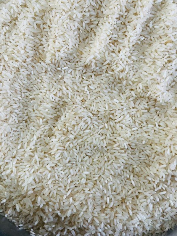 RAMADHIN RICE MILL in Madhubani - Manufacturer of Golden Sella Rice ...