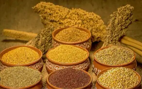 Natural Millet at Best Price in Vizianagaram - ID: 7359813 | Quintal ...