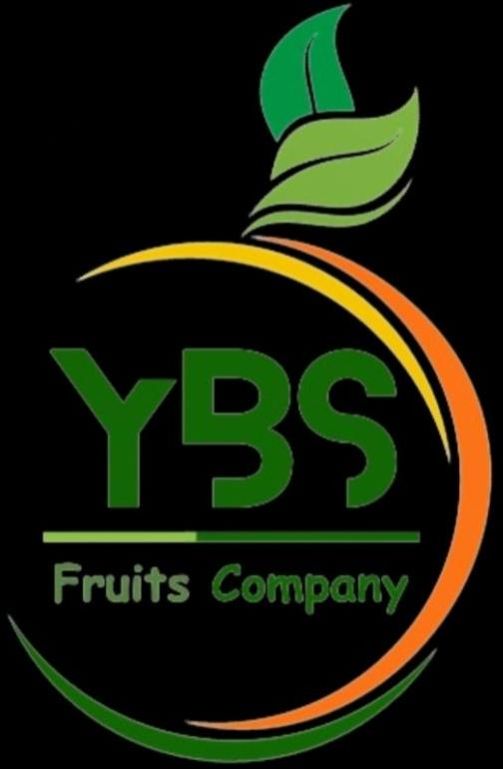 YBS FRUITS in Amravati - Supplier of Fresh Fruits & Fresh Orange