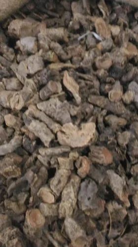 Anantmool Root, Packaging Size : 25 Kg at Rs 320 in Rohtak - ID: 7463775