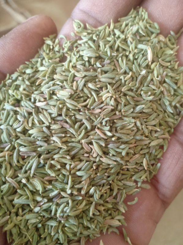 Organic Fennel Seeds Form Solid At Rs 210 Kilogram In Jaipur Id 7475439