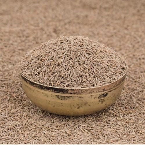 Raw Organic Cumin Seeds For Cooking at Rs 150 in Morbi - ID: 7581636 ...