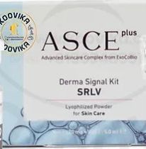 ASCE Injection, Medicine Type : Allopathic at Best Price in Panchkula ...