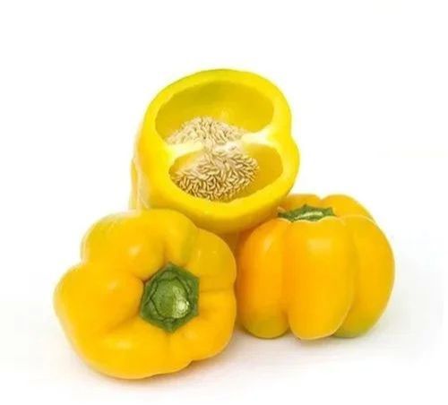 Fresh Yellow Capsicum, Packaging Type : Plastic Bag at Rs 80 in Noida ...