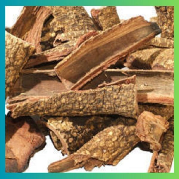 Babool Bark at Rs 120 in Neemuch - ID: 7807152 | TEJHAKSH AYURVEDA