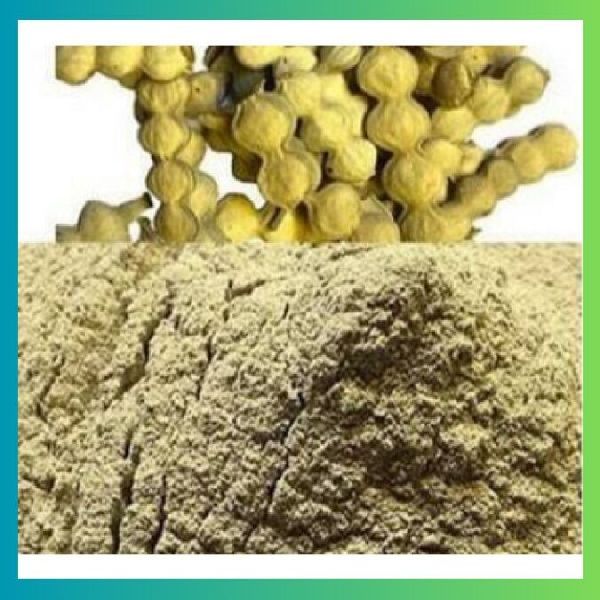 Babool Fali Powder at Rs 80 in Neemuch - ID: 7807090 | TEJHAKSH AYURVEDA