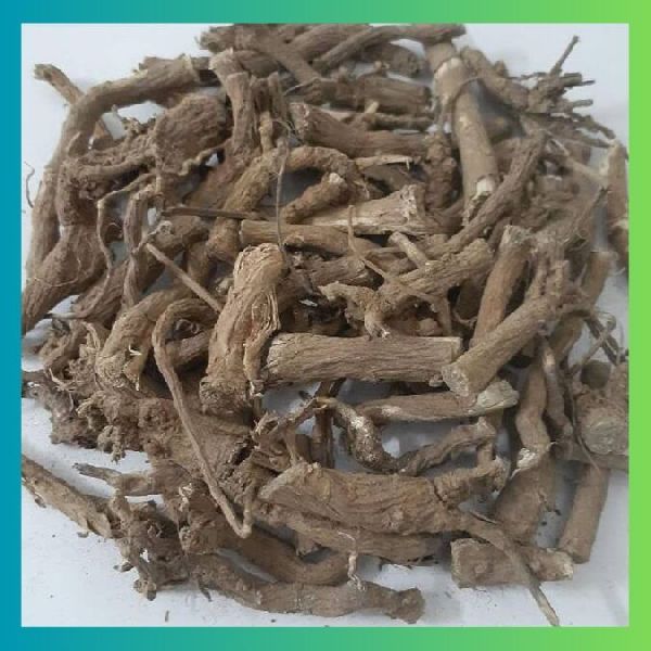 Punarnava Root at Rs 160 in Neemuch - ID: 7808150 | TEJHAKSH AYURVEDA