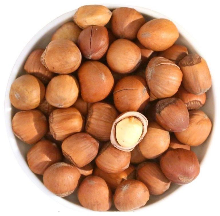 Hard Organic Hazel Nuts Dried, Grade : Food Grade at Rs 600 in ...