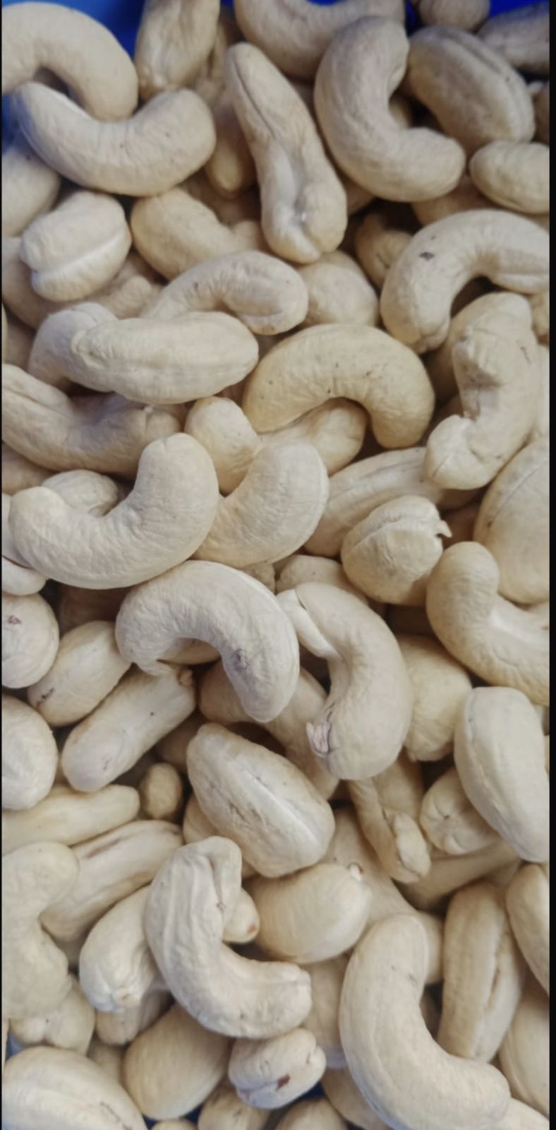 Supplier of Cashew Nuts from Ramanagara, Karnataka by Advith Enterprises