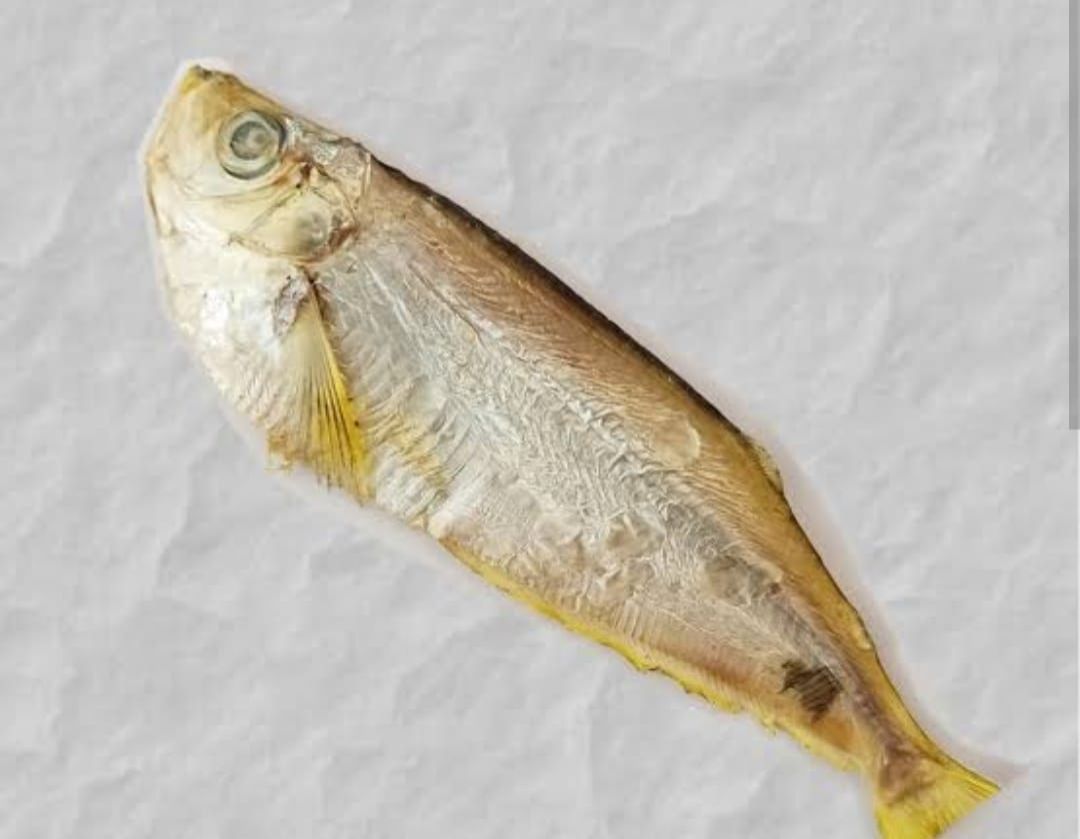 Dried Raconda Fish, Color : Silver Brown for Curry & Fry Preparation at ...