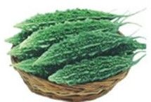 Spiny Fresh Bitter Gourd, Shape : Spindle-shaped at Best Price in ...