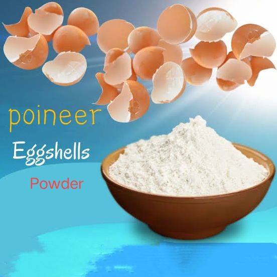 Pioneer Egg Shell Powder, Packaging Type : Bag, Purity : 99% at Rs 55 ...