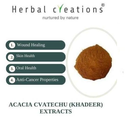 Acacia Catechu Khadeer Extract, Packaging Size : 25kg, 40kg at Best ...