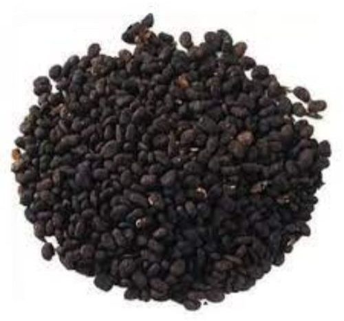 Psoralea Corylifolia (Babchi) Extracts at Best Price in Nainital - ID ...