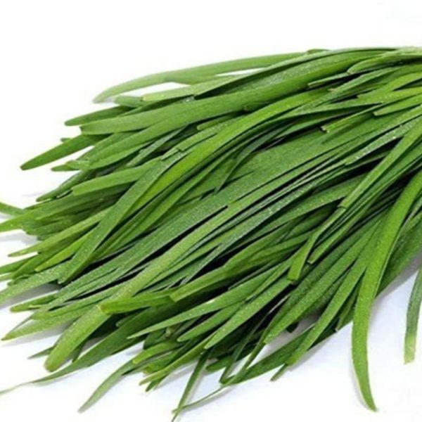 Organic Fresh Chives, Color : Green, Packaging Type : Jute Bag at Rs 40 ...