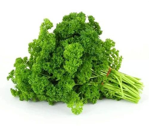 Organic Fresh Parsley, Color : Green Natural at Rs 50 in Navsari - ID ...