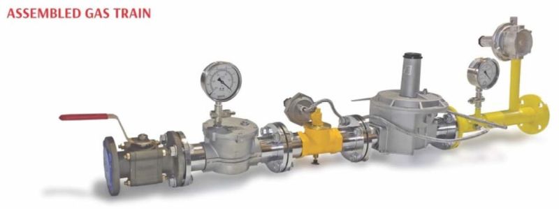 Mild Steel Automatic Color Coated GECA GAS TRAINS, Color : Grey at Rs ...