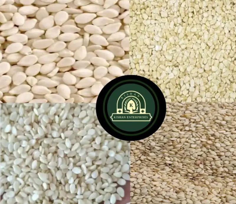 Crunchy White Sesame, Color : Pale Cream Or Off-white at Best Price in ...