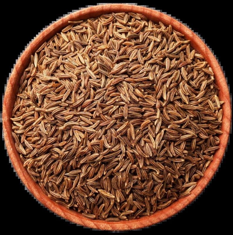 Cumin Seeds, Color : Brown, Packaging Size : 1Kg, 5Kg, 10Kg at Best ...