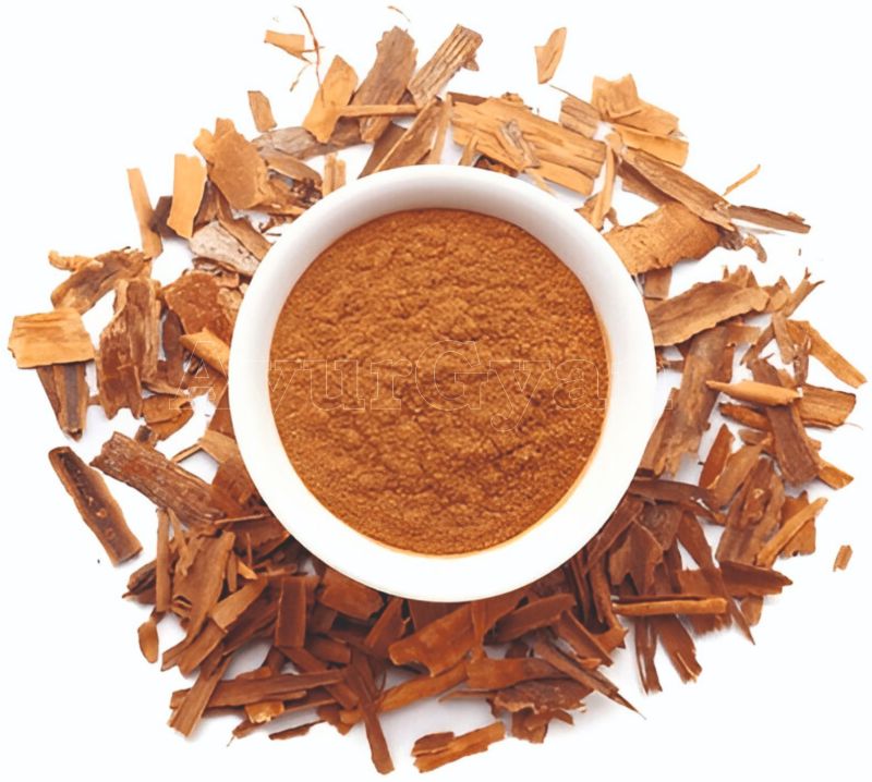 Cinnamon Powder, Packaging Type : Plastic Pouch, Purity : 99.99% at ...