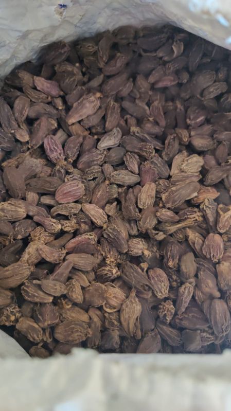 Organic Bold Black Cardamom, Color : Brown, Packaging Type : PP Bag at ...