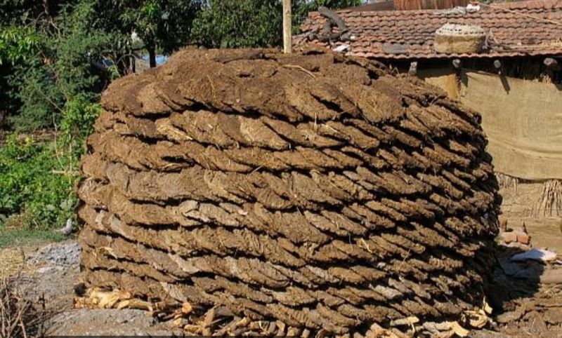 Abhilasha export in Bhilwara - Manufacturer of Cow Dung & Cow Urine