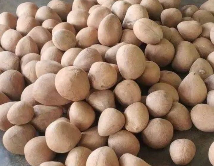 Dried Coconut, Color : Brown, Certification : FSSAI at Rs 280 in ...