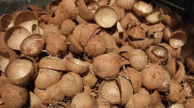 Natural Raw Coconut Shell, Color : Brown Dried at Rs 26 in ...