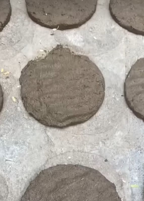 Abhi milk corner in Bangalore - Manufacturer of Cow Dung