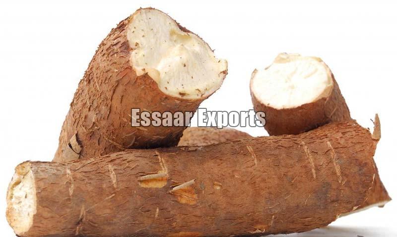 Fresh Tapioca Root by Essaar Exports from Theni Tamil Nadu | ID - 1787468