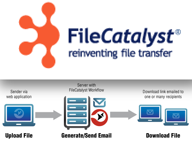 Transcoder & File Transfer File Catalyst - AAA MEDIA TECHNOLOGIES ...