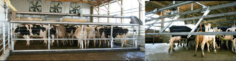 Crowd Gates at Best Price in Noida | Vansun Technologies Pvt Ltd