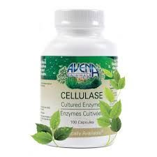 Cellulase Enzyme - Maps Enzymes Limited, Ahmedabad, Gujarat