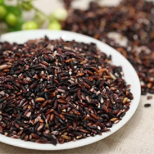 black rice at Rs 180 / Kilogram in Guwahati | Manya Trading Company