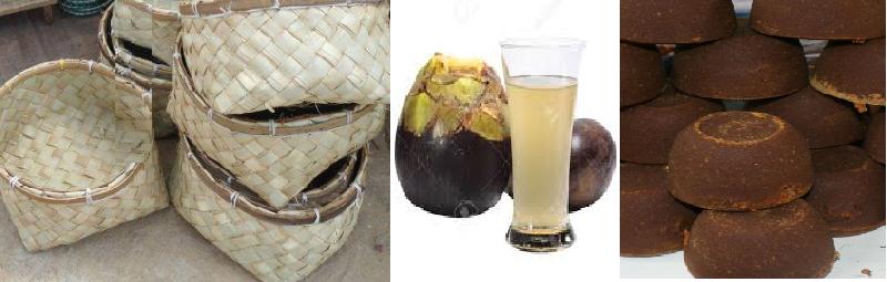 Palm Products by Mettur Exports from Salem Tamil Nadu | ID - 2711430