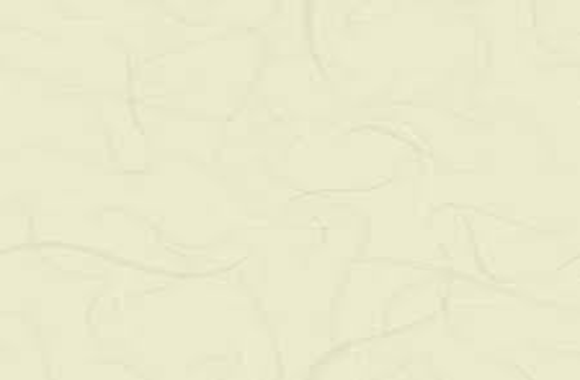 cream drawing paper at best price INR 15,000 / 500 Piece in North 24 ...