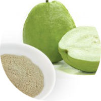 Guava Powder at Best Price in Ahmedabad | Syren Healthcare