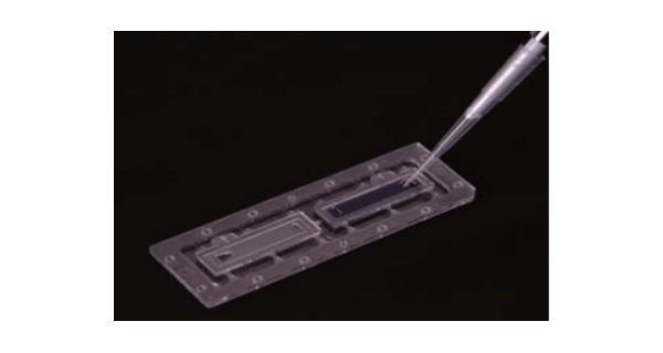 Luna Cell Counting Slide Manufacturer In Dubai United Arab Emirates By