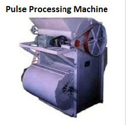 Pulse Processing Machine - Goldin (india) Equipment Pvt. Ltd., Vadodara ...
