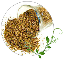 Ajwain at best price in Navi Mumbai Maharashtra from Paresh Impex | ID ...