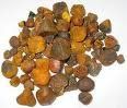 Cam Ecotel - Supplier of Cow Gall Stone For Sale & Ox Gallstone