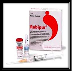 rabies vaccine - Ishita Pharma, Mumbai, Maharashtra