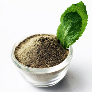 Mint Powder at Best Price in Indore | Cygnuss Agro