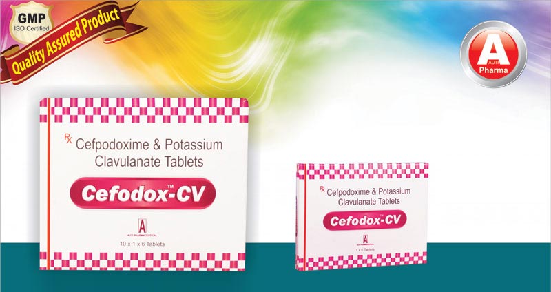 Retailer of Dry Fruits & Nuts from Pune, Maharashtra by Auti Pharmaceutical