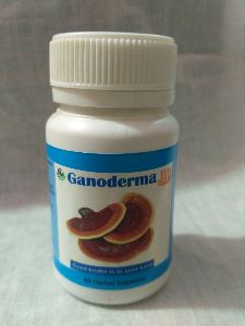 Ganoderma Capsule - ganoderma capsules Suppliers, Ganoderma Capsule ...