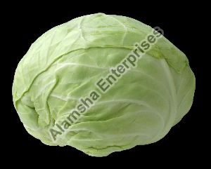 Cabbage - Get Latest Price & Mandi rates from Dealers & Traders ...
