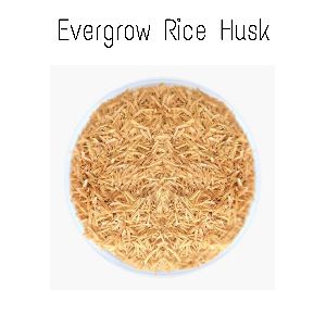 Rice Husk Latest Price from Manufacturers, Suppliers & Traders